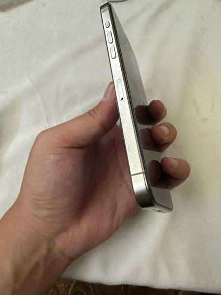 15 Pro Max 256 Natural Titanium 100%