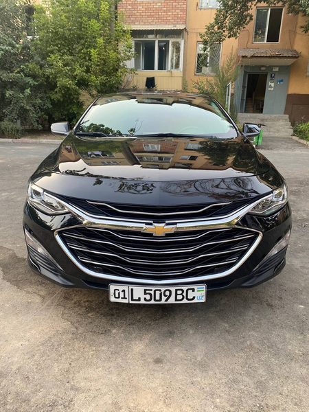 Malibu 2 premier q-an