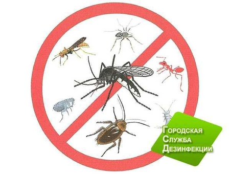 Дезинфекция | уничтожение клопов | Dezinfeksiya klapa | DZ-22