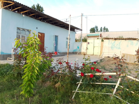 Hovli sotiladi 5.5 so'tihli