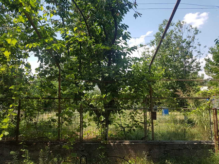 Участок кибрай 33 сотык продаётся