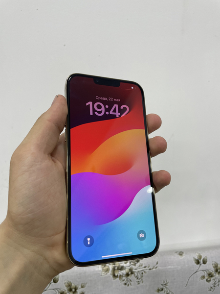 Iphone 13Pro Max