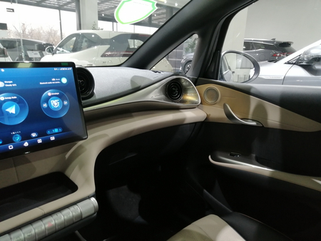 BYD Dolphin fashion edition (510 km)
