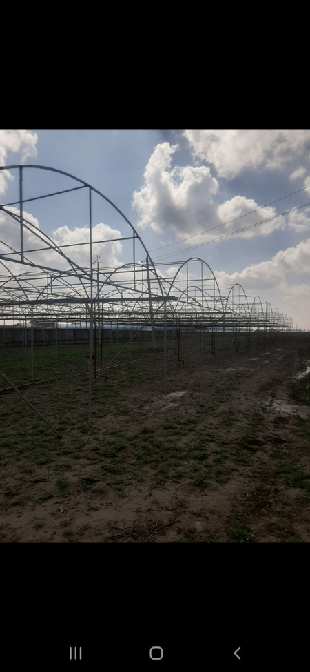 Парник . Теплица
