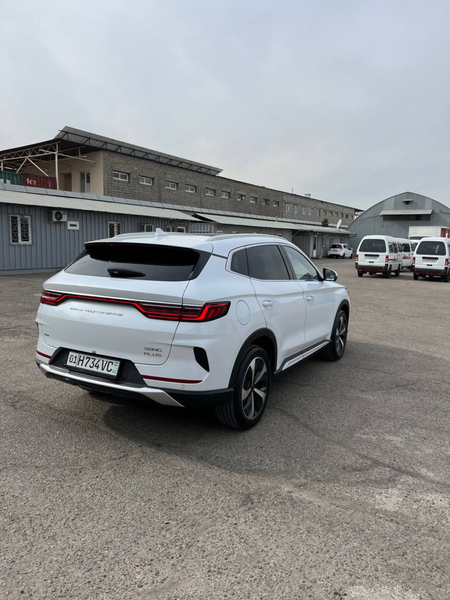 Byd song plus Dmi