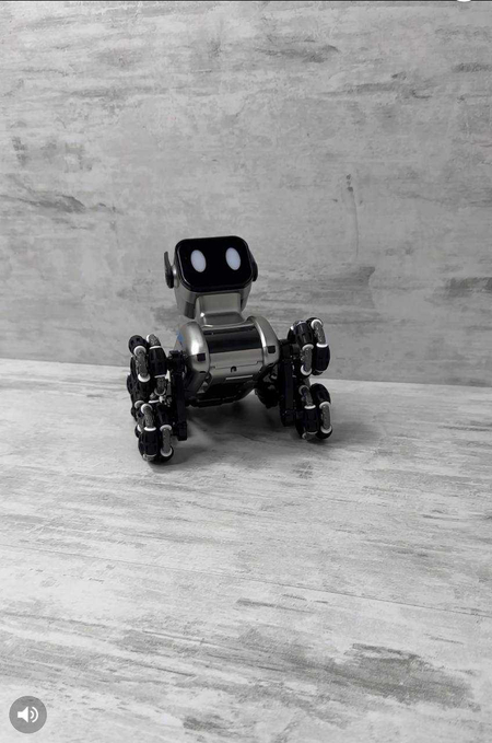 JZL robot kuchuk arginali. Робот собака игрушка