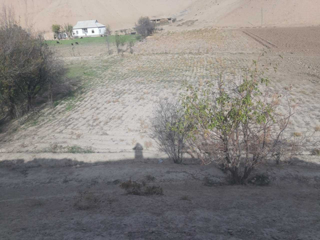 Sotiladiga yer agorot