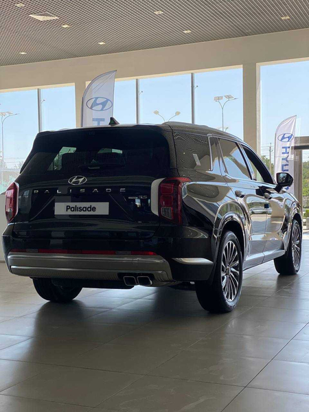 Hyundai Palisade Calligraphy