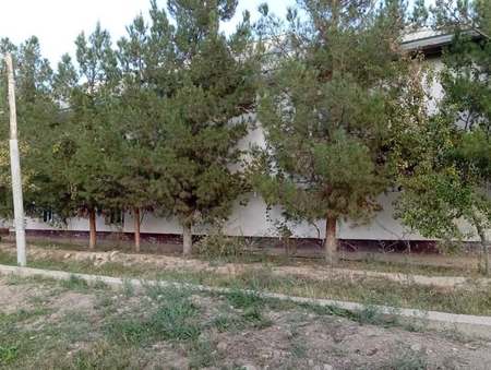 Уй сотилади продам дом