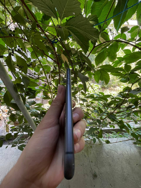 Iphone 6 srichna