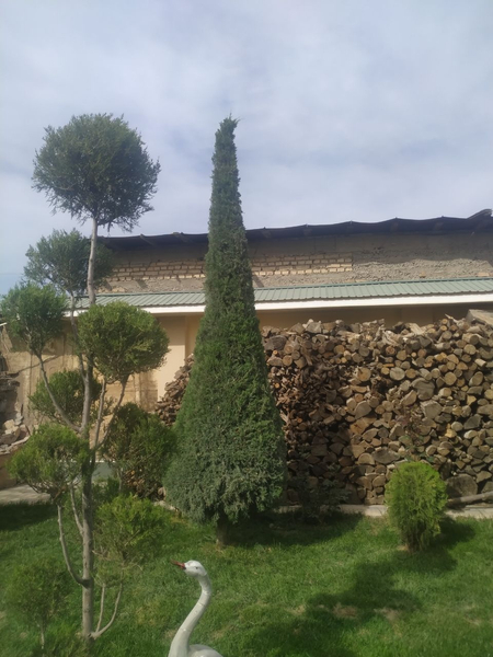 Archa kesish ishlari gazon ekish lanshaftni dizayin ishlarining bajari