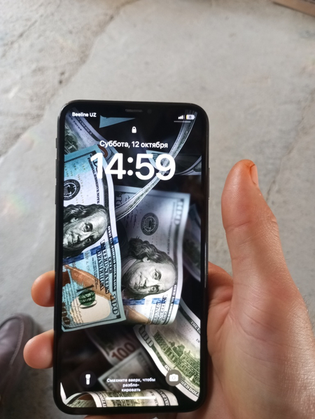 Iphone Xs Max 256 gb 89%