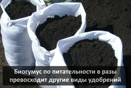 Табиий биогумус халталарда.