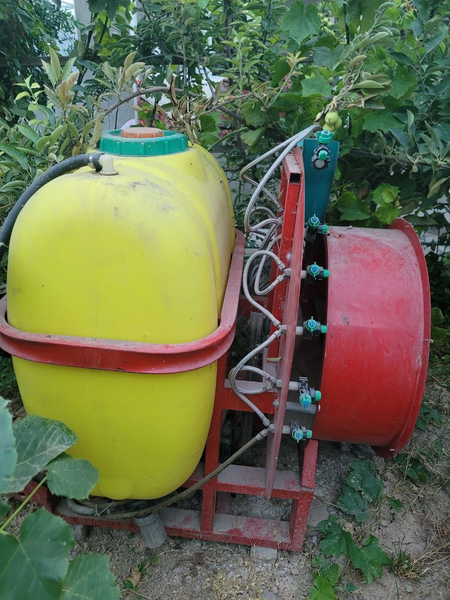Dori sepadigon transhe uq ariq qaziydigon