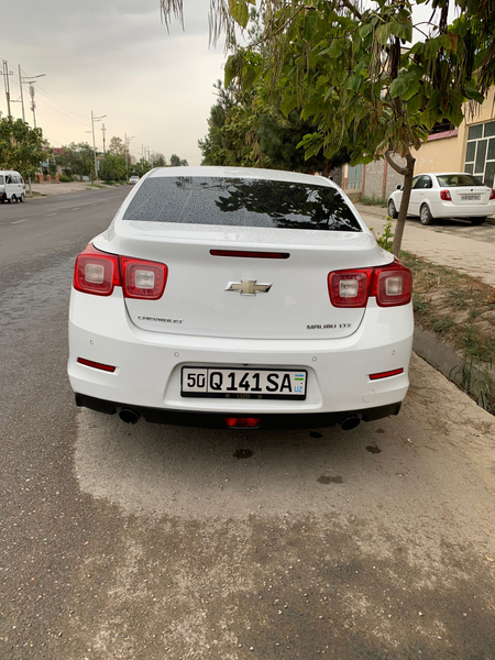 Malibu 1  2013/14