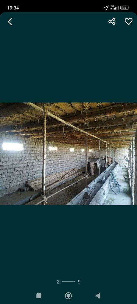 Yer sotiladi 1 gektar. Molxona 14 sotix. 40ta mol 100ta qo'y ketadi