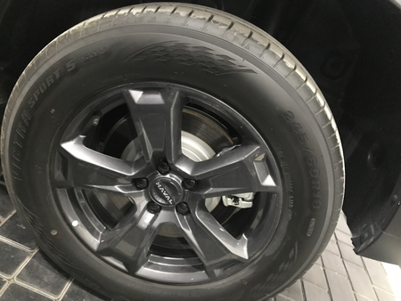 Haval Raptor