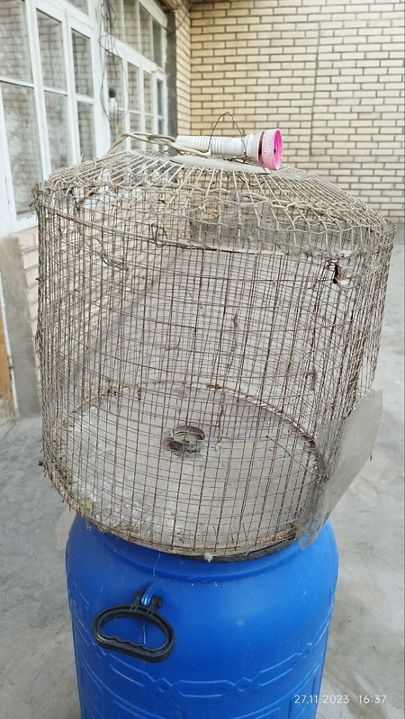 Клетки для птиц.