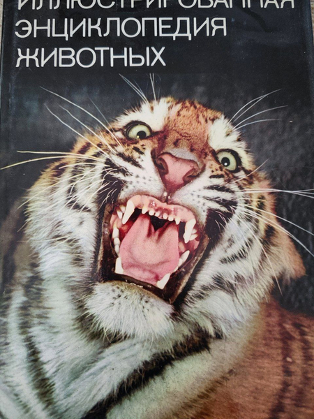 Все для школьников