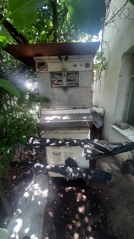 Мороженное станок
