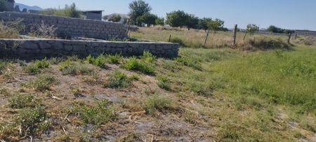 Yer uchastkasi. Hovli