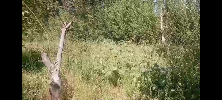 6-сотих ер участка сотилади