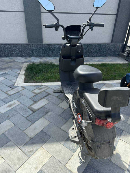 Skuter fevralda olganman