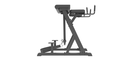 Impulse IFP1619
Обратная гиперэкстензия