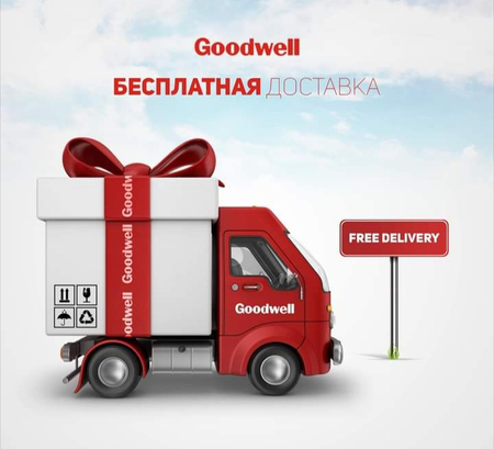 Морозильник Goodwell GRF-208FN (модернизированного типа) Доставка