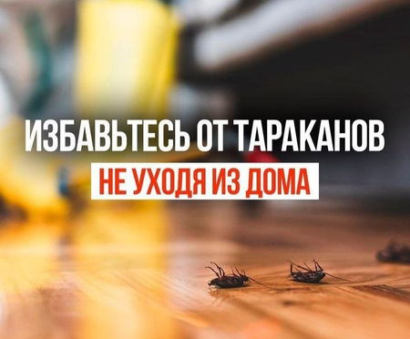 Дезинфекция Ташкенте