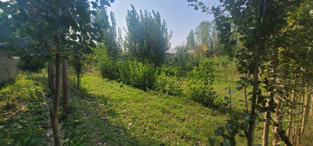 17 sotixdan ortiq, 15 sotixga kadastir qilingan Chek sotiladi