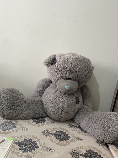Тедди  Мишка teddy ayik