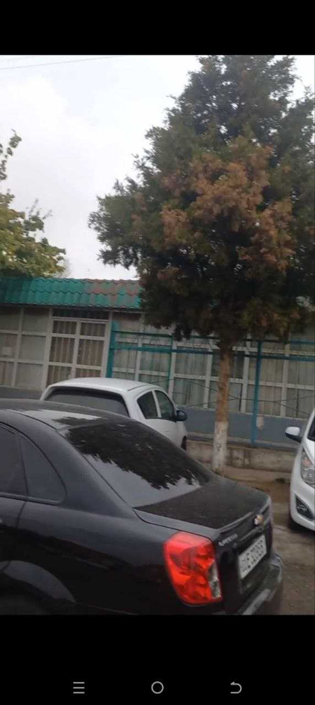 Срочно продаётся Земля