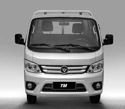 Foton Truck Mate I (D1)