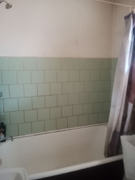 Buz 2, 2 honali 62 kvadrat sotiladi