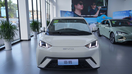 BYD Seagull Flying Edition