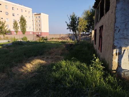 Uyni yarimini sotvomman 10 sotx joy oladigonlar  tel qlilar