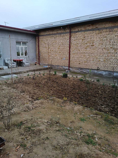 Уй ховли сотаман