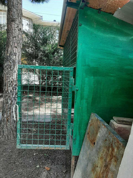 клетка для животных