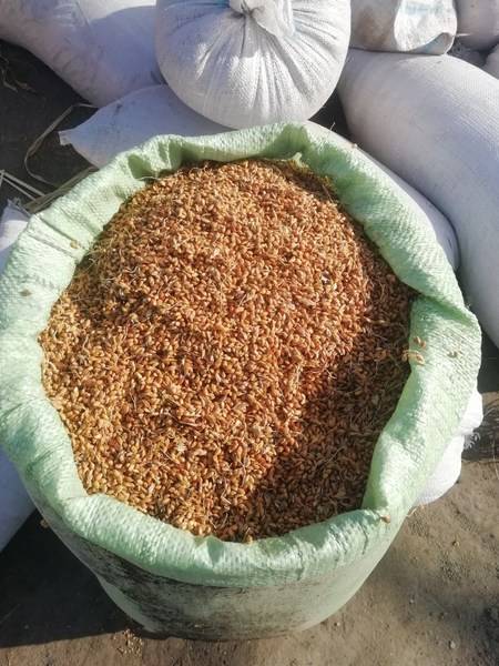 Supurgi don  kepagi ham bor sotuvda