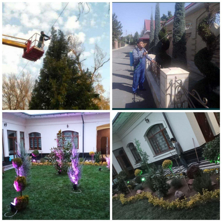 Профессиональный Садовник