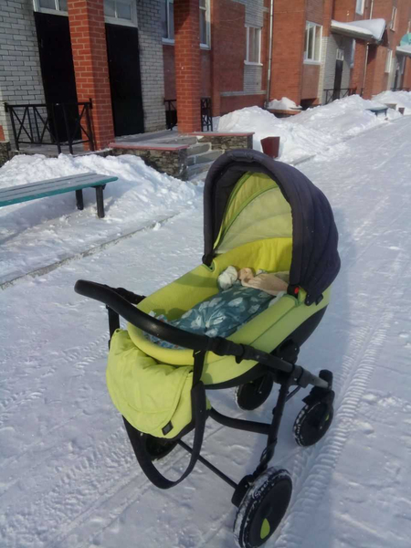 Коляска zippy 2 в 1