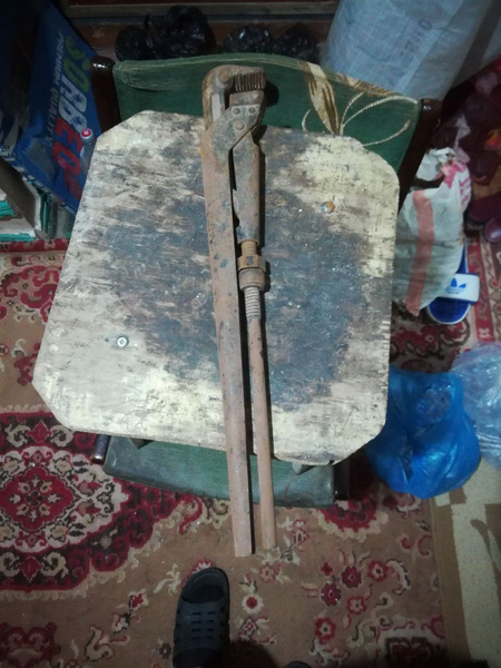Gazivi kulich savetiski