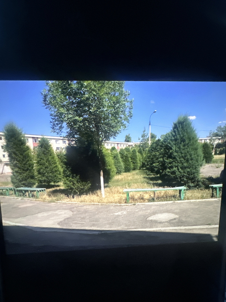 Дарахт кесамиз , обрезка , ландшафт хизматлари .