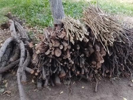 Продам  дрова  (виноград, хурма, черешня, вишня, тутовник)