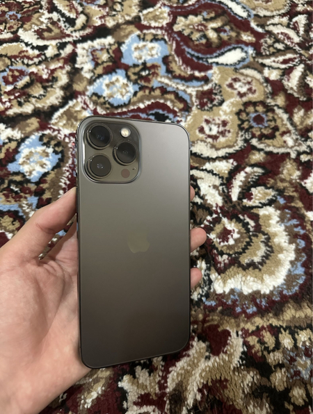 iPhone 13 Pro Max