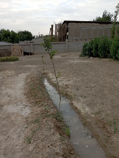 Янгюльский район.Саховат мфй