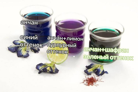 синий чай анчан «клитория тройчатая»