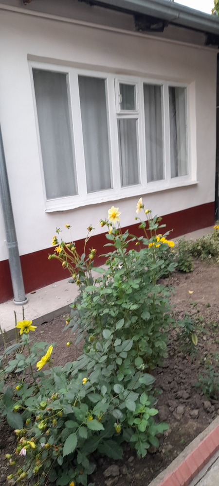 Рисовый рынок 3+3ком.3,9сот