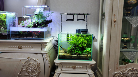 Аквариум Akvarium